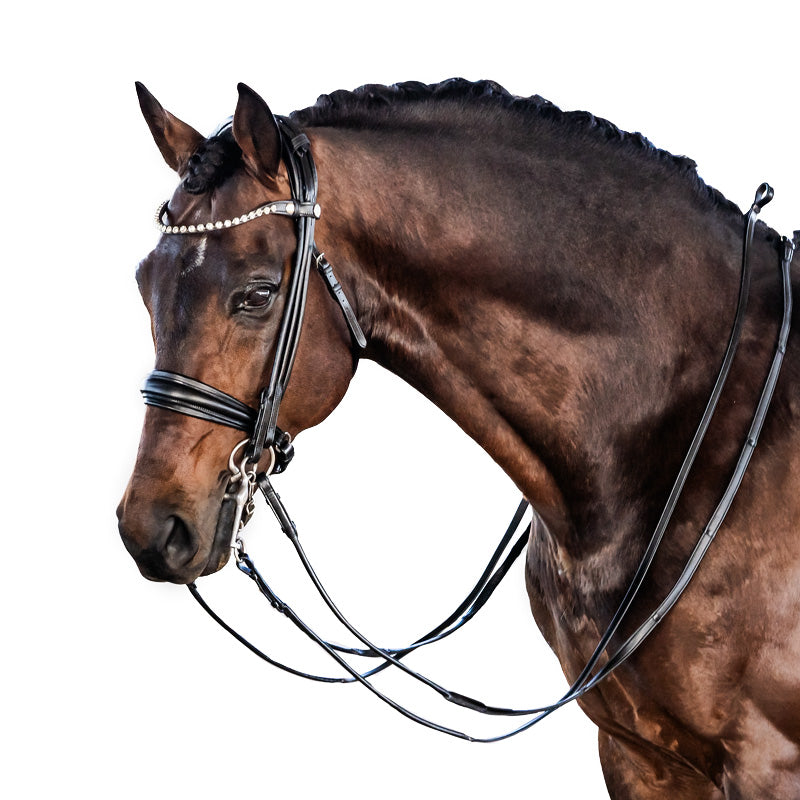 LT AntiGravity Double Bridle - Lara Tweedie Equestrian