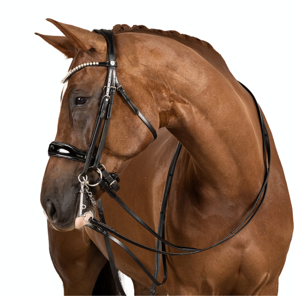 Fitting Your Double Bridle with Catherine Haddad – Lara Tweedie Equestrian