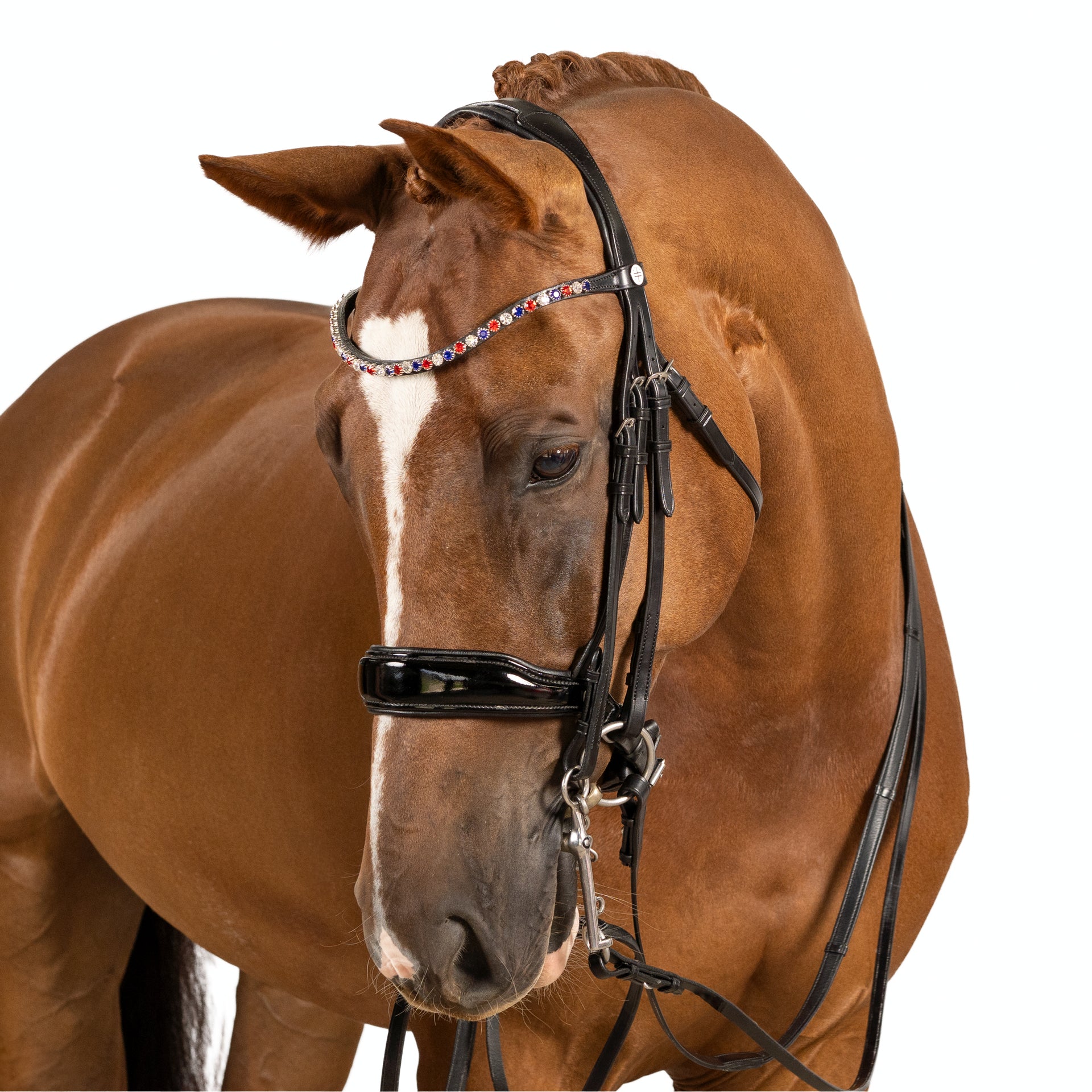 Fitting Your Double Bridle with Catherine Haddad – Lara Tweedie Equestrian