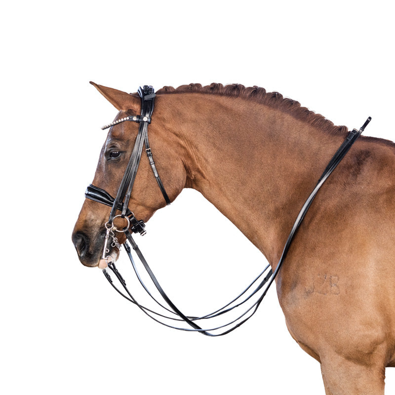 LT AntiGravity Glam Double Bridle - Lara Tweedie Equestrian