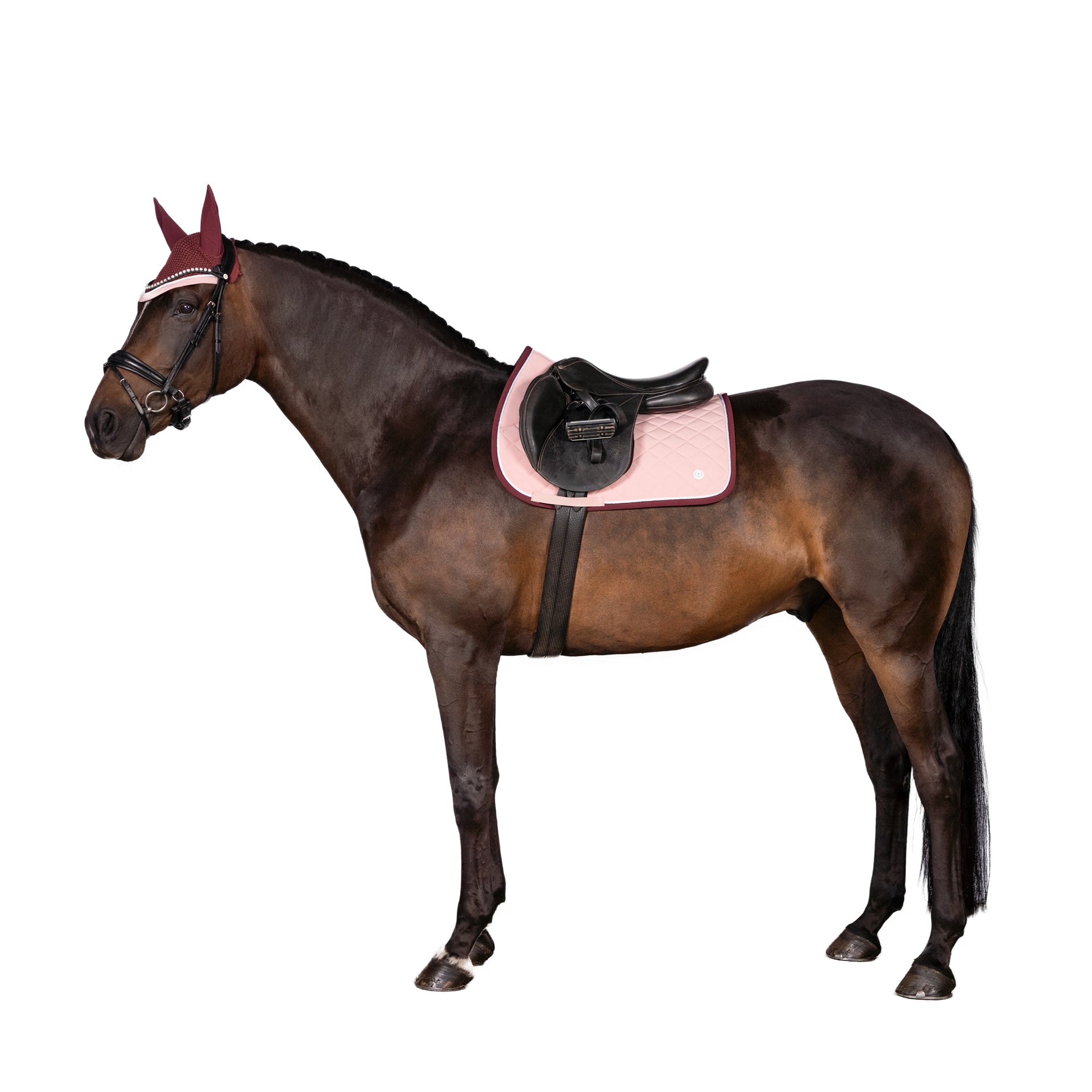 Saddle Pads – Lara Tweedie Equestrian