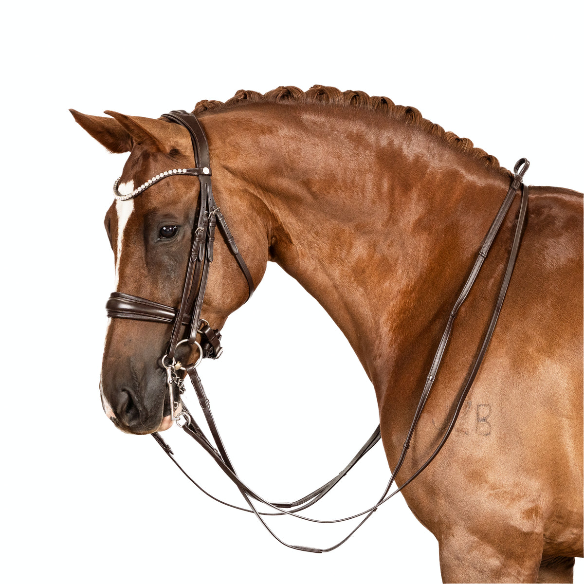 LT Essential Snaffle Bridle - Drop Noseband – Lara Tweedie Equestrian