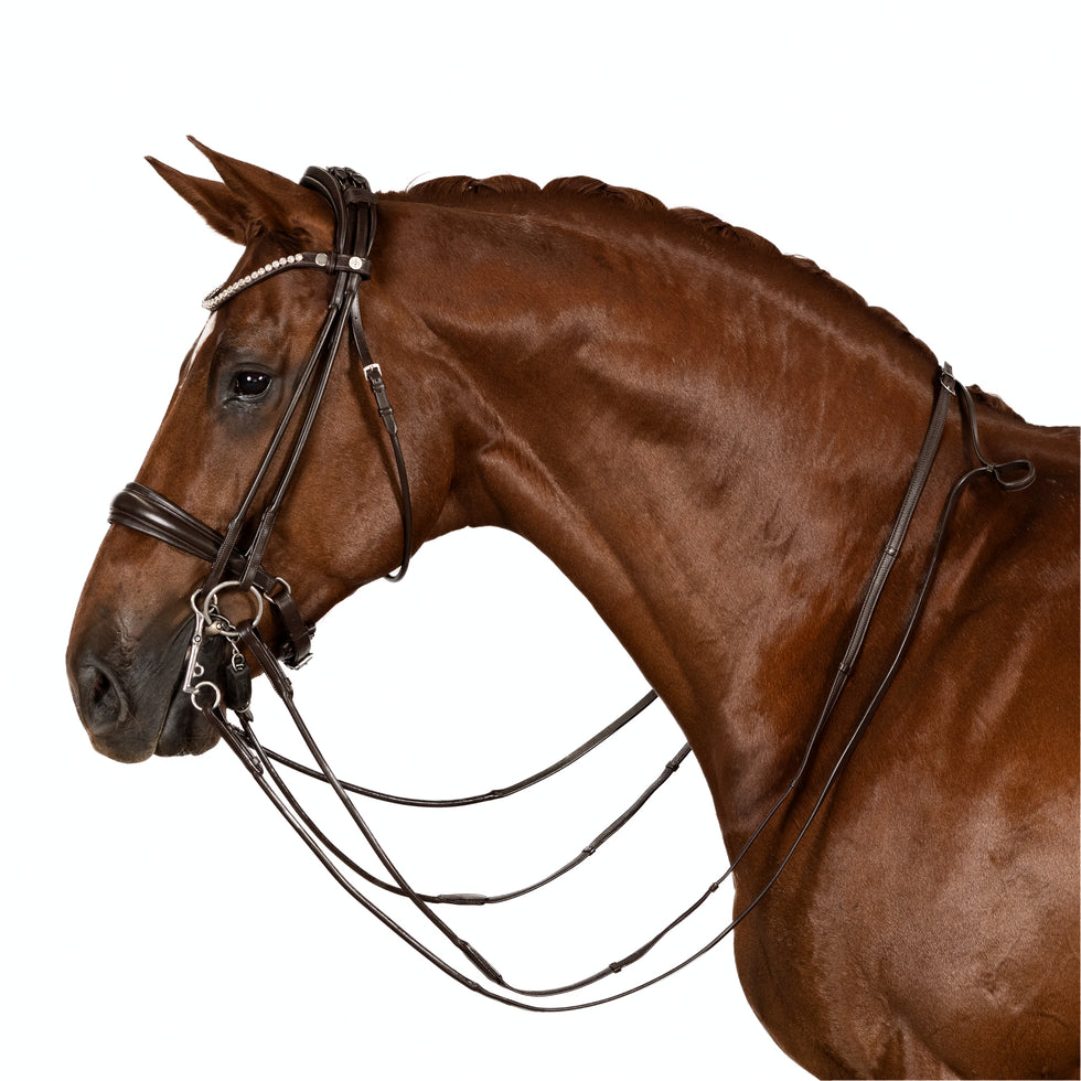 Fitting Your Double Bridle with Catherine Haddad – Lara Tweedie Equestrian
