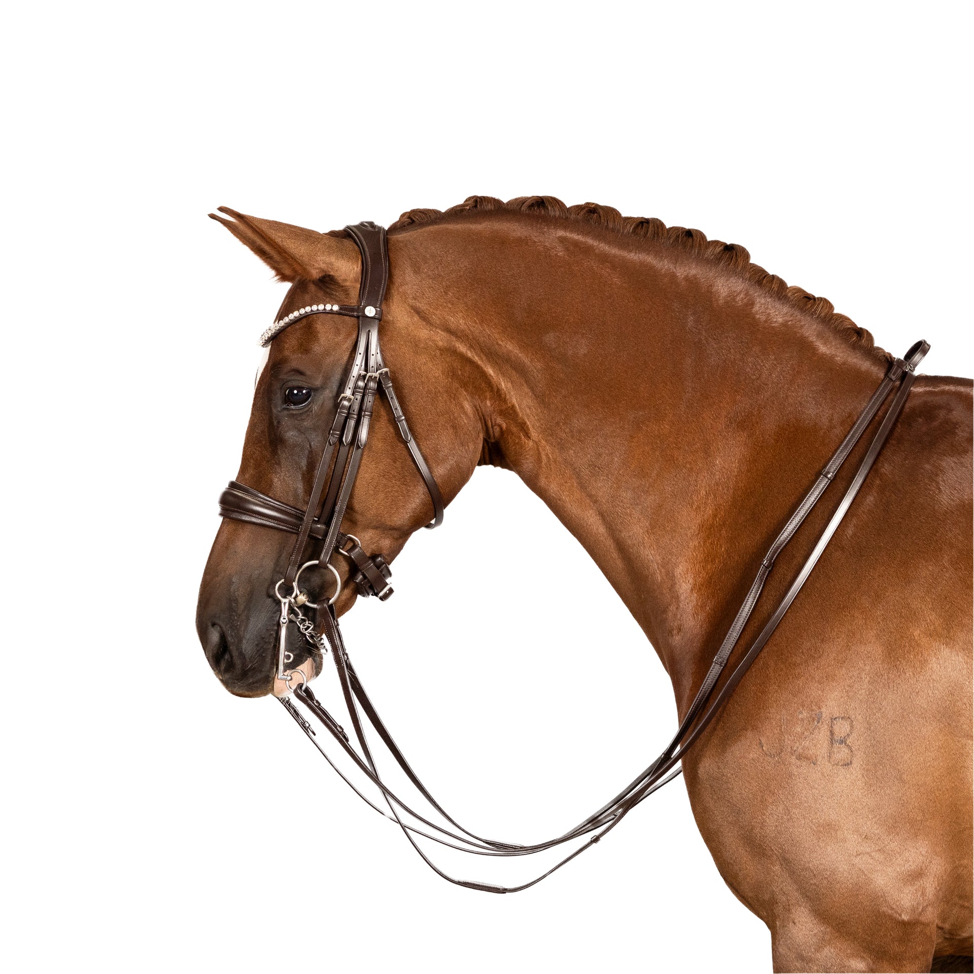 Fitting Your Double Bridle with Catherine Haddad – Lara Tweedie Equestrian