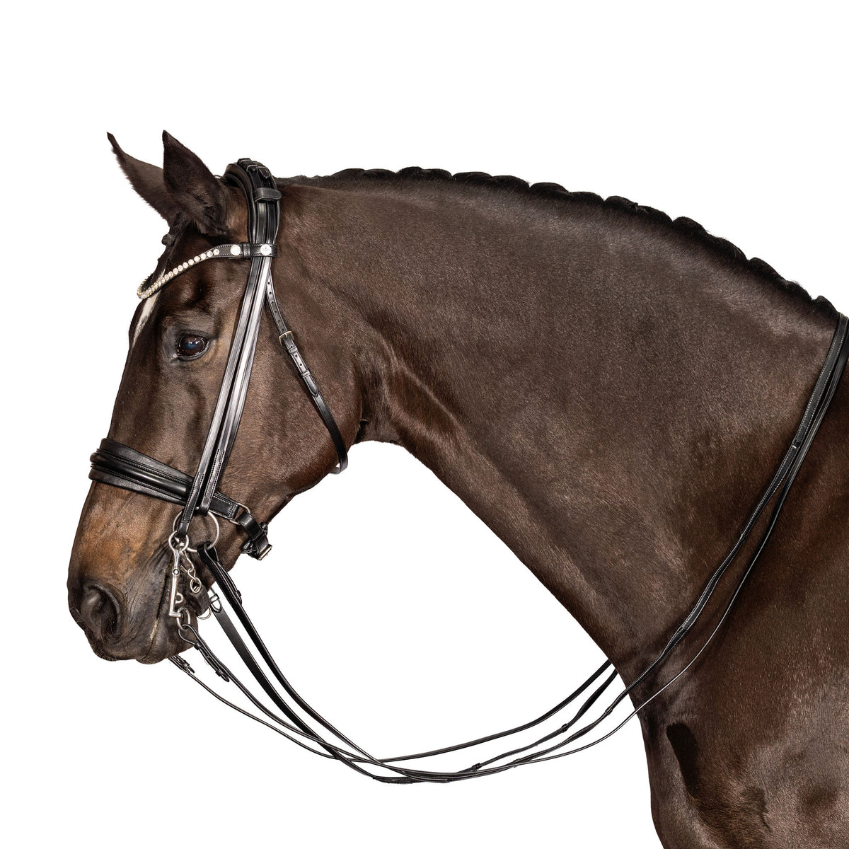 LT AntiGravity Equiform Double Bridle (Flat) – Lara Tweedie Equestrian