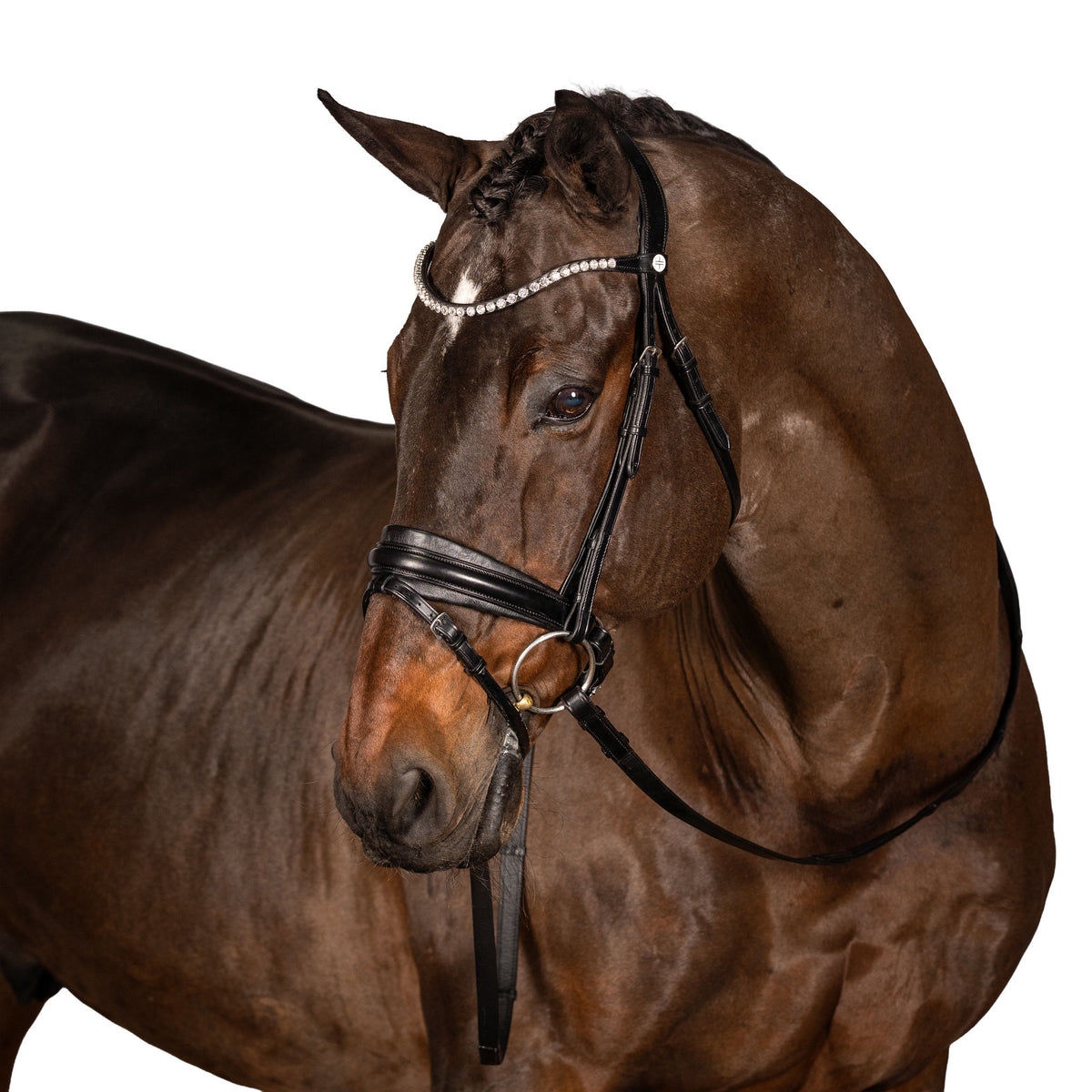 LT Essential Equiform Snaffle Bridle – Lara Tweedie Equestrian